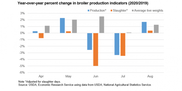 Broiler production increased year over year, according to USDA's ...