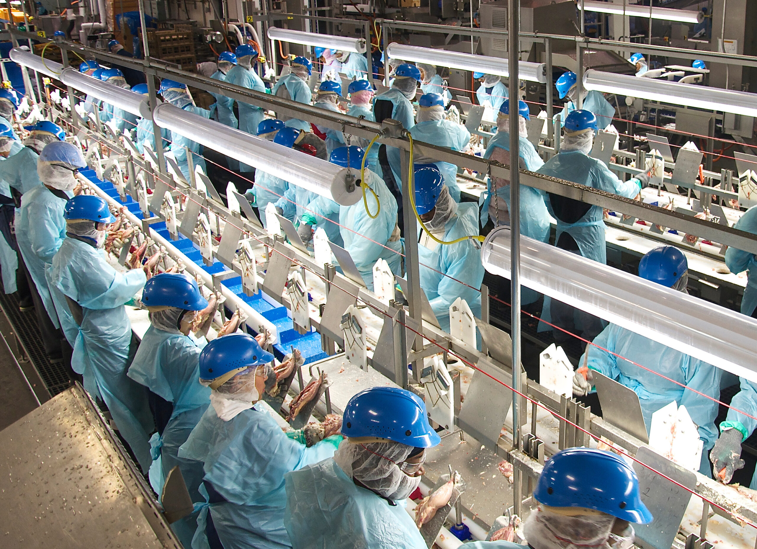 Injuries and illnesses in poultry processing fall below all general ...